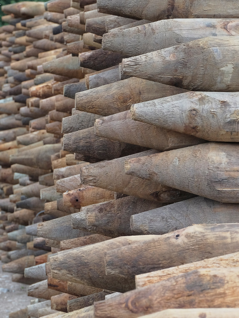 Point-Lumber_DSCF0423[6] | Point Lumber Timaru, South Canterbury